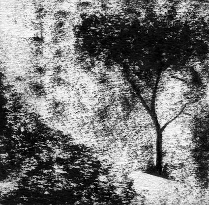 Sucesiva y alternativamente - Vivet in Natura