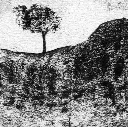 Sucesiva y alternativamente - Vivet in Natura