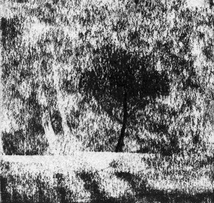 Sucesiva y alternativamente - Vivet in Natura