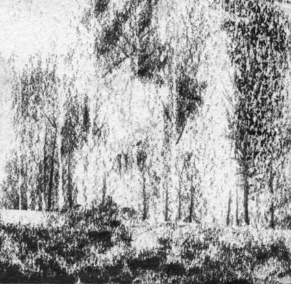 Sucesiva y alternativamente - Vivet in Natura