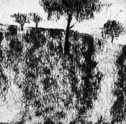 Sucesiva y alternativamente - Vivet in Natura
