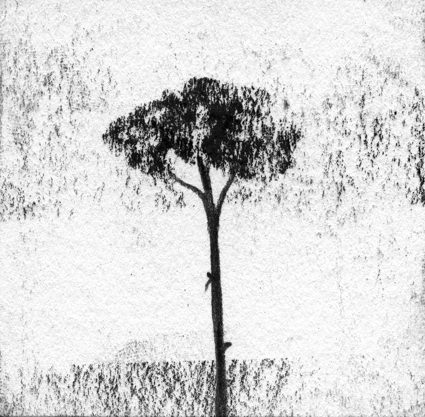 Sucesiva y alternativamente - Vivet in Natura